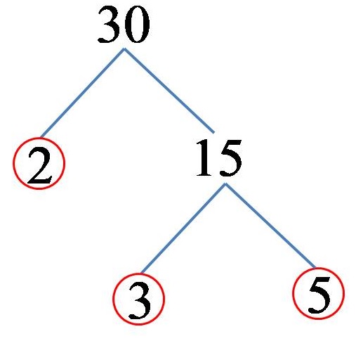 Prime factor decomposition - Math For All