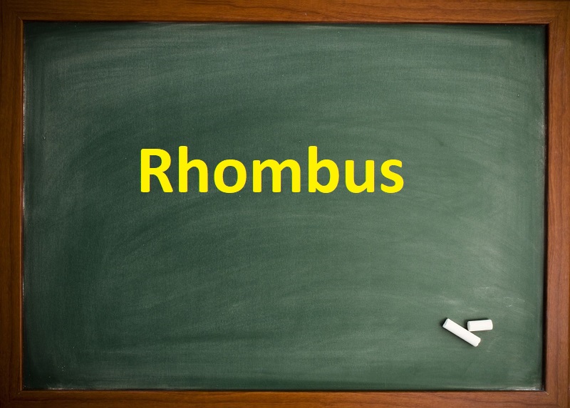 Rhombus - Math For All