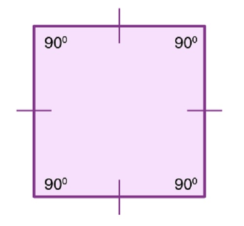 Square - Math For All